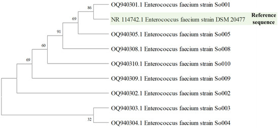 Fermentation | Free Full-Text | Isolation and Characterization of ...