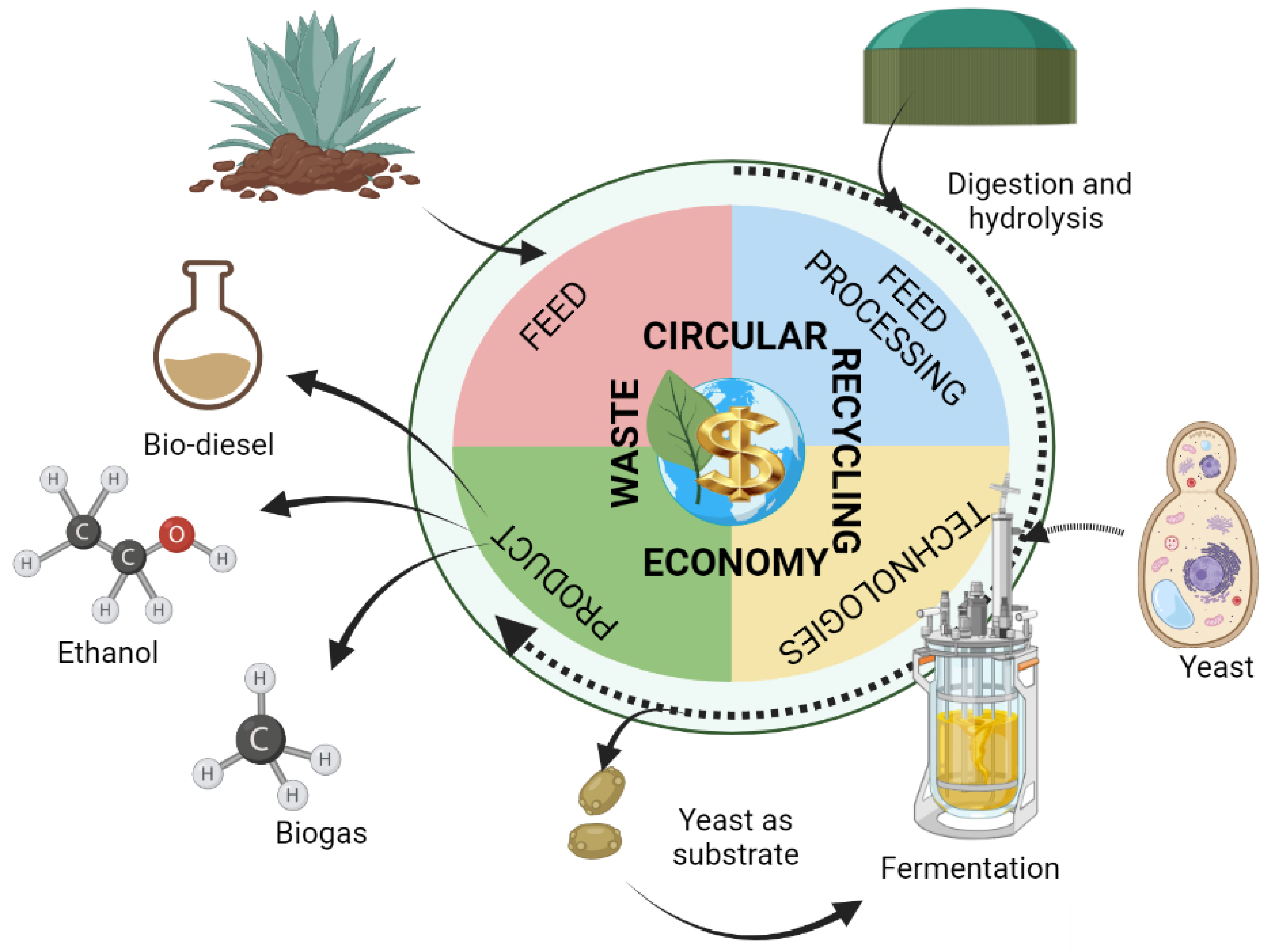 Yeast-Mediated Biomass Valorization for Biofuel Production: A ...