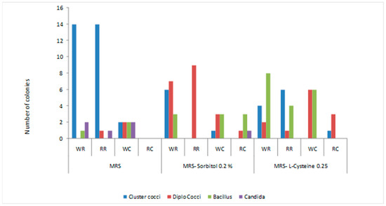 Phenotypic Characterisation and Molecular Identification of Potentially ...