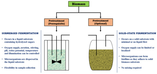 A Review of Liquid and Gaseous Biofuels from Advanced Microbial Fermentation Processes