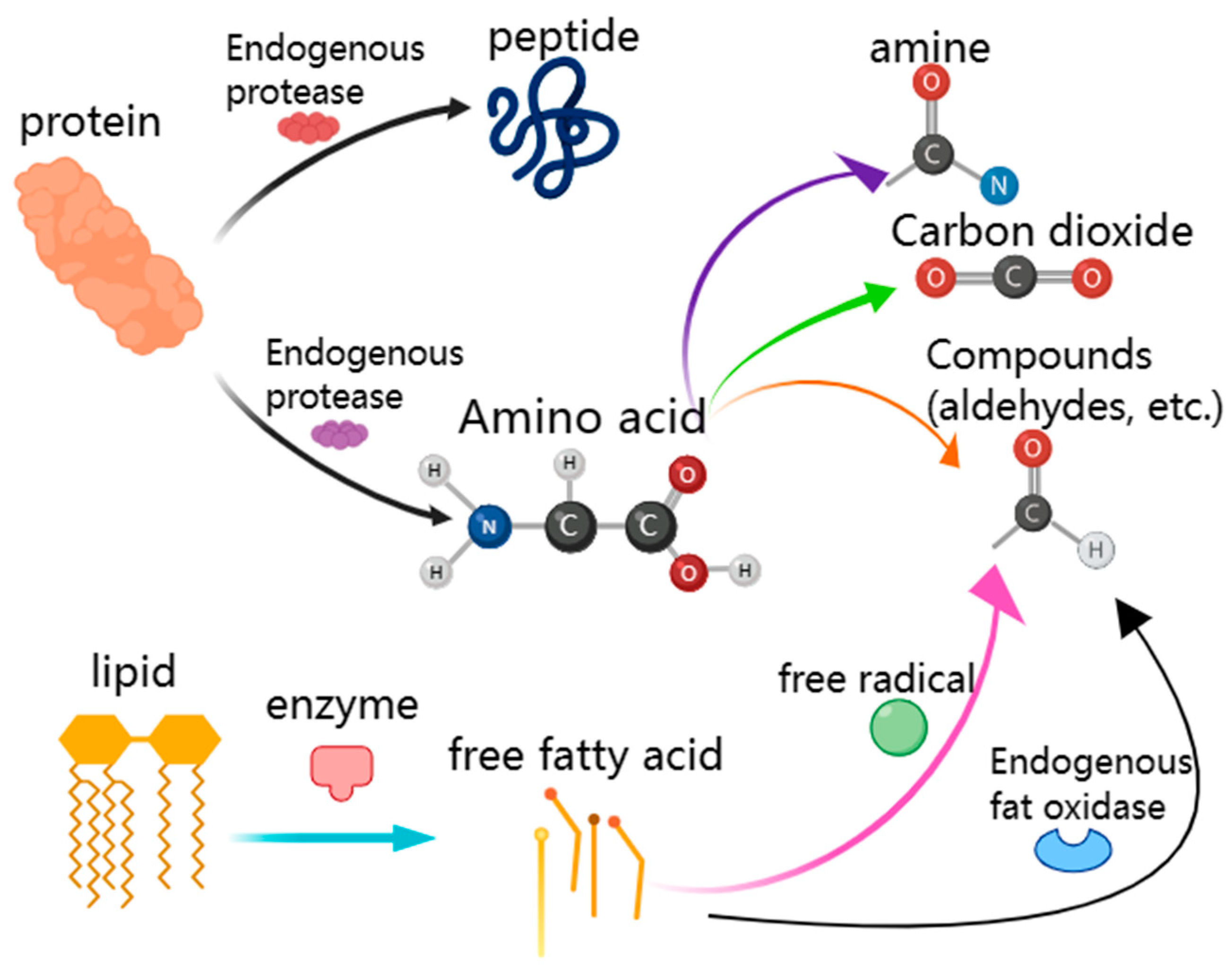 Flavour Characteristics of Fermented Meat Products in China: A Review