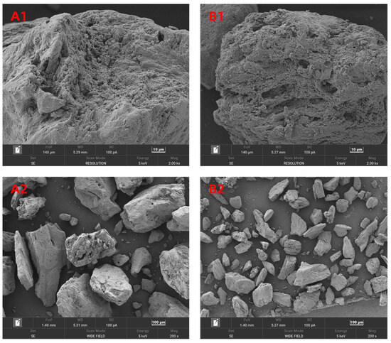 Preparation and Impact of Fermented Sheep Bone Powder on Sausage Quality