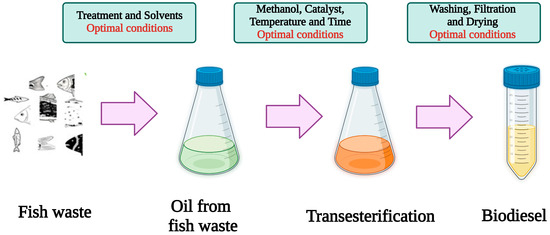 Fish Waste: A Potential Source of Biodiesel