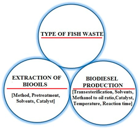Fish Waste: A Potential Source of Biodiesel