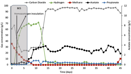 Enhancing Acetic Acid Production in In Vitro Rumen Cultures by Addition ...