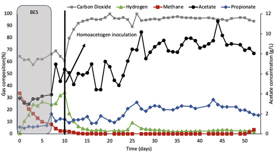 Enhancing Acetic Acid Production in In Vitro Rumen Cultures by Addition ...