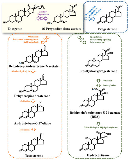 Green Manufacturing of Steroids via Mycolicbacteria: Current Status and ...