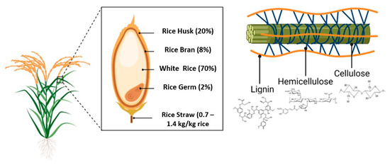 Underutilized Malaysian Agro-Industrial Wastes as Sustainable Carbon ...