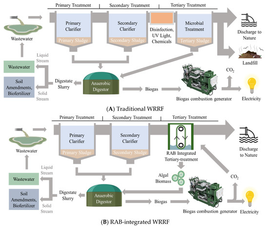 Fermentation | Free Full-Text | Modeling the Production of Microalgal ...