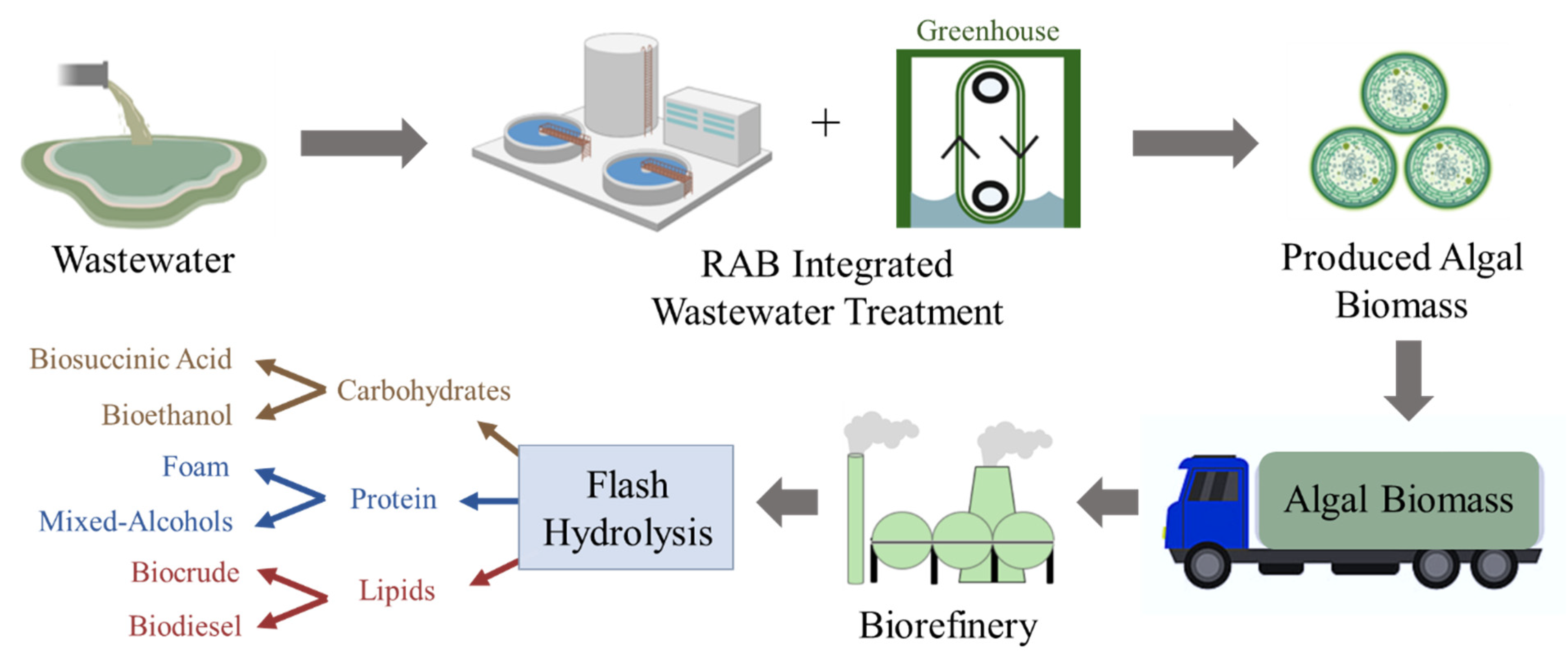 Fermentation | Free Full-Text | Modeling the Production of Microalgal Biomass in Large Water ...