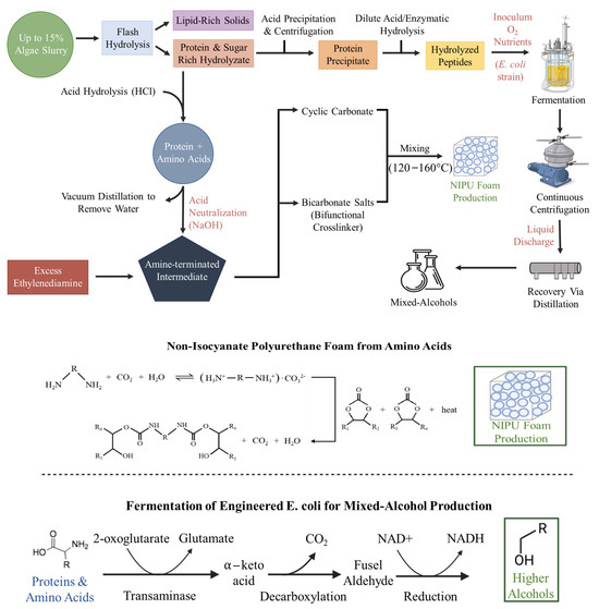Modeling the Production of Microalgal Biomass in Large Water Resource ...