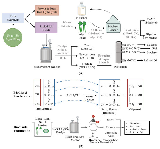 Modeling the Production of Microalgal Biomass in Large Water Resource ...