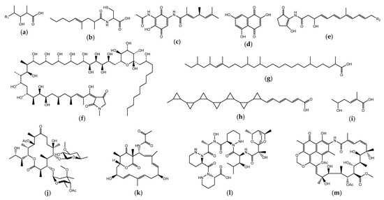 Profile of PKS and NRPS Gene Clusters in the Genome of Streptomyces ...