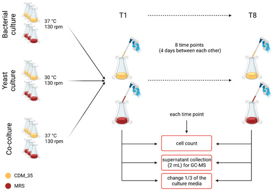 Investigating Yeast–Lactobacilli Interactions through Co-Culture Growth ...