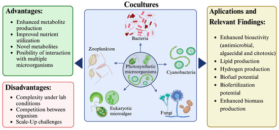 Insights into Co-Cultivation of Photosynthetic Microorganisms for Novel ...