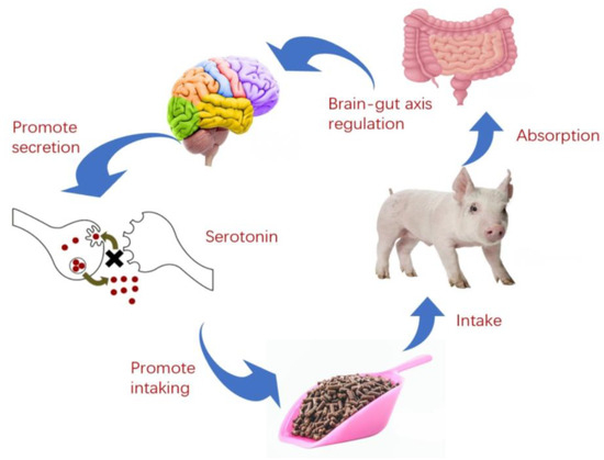 Progress in Fermented Unconventional Feed Application in Monogastric ...