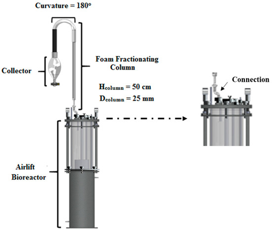 Integrated Process of Biosurfactant Production by Bacillus atrophaeus ...