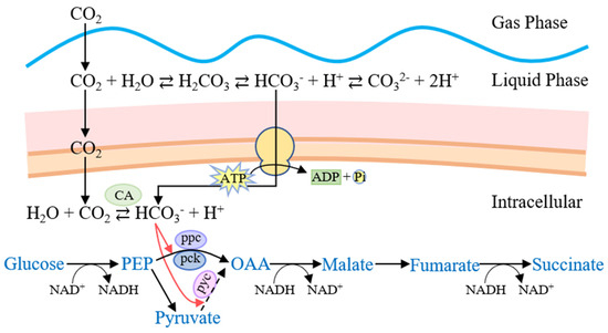 Recent Advancements and Strategies of Improving CO2 Utilization ...
