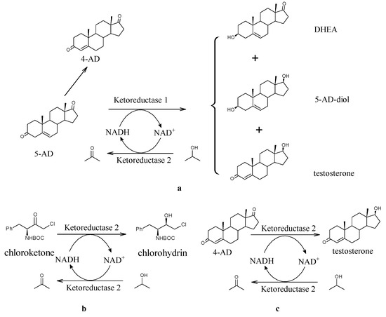 Testosterone Biosynthesis from 4-Androstene-3,17-Dione Catalyzed via ...
