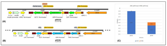 Polyhydroxybutyrate (PHB) Biosynthesis by an Engineered Yarrowia ...