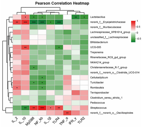 Effect of Mixed Lactiplantibacillus plantarum- and Bacillus subtilis ...