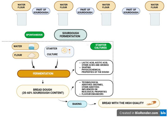Lactic Acid Fermentation