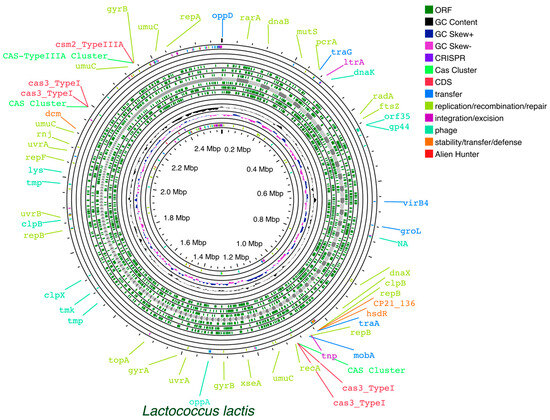 Lactococcus lactis in Dairy Fermentation—Health-Promoting and Probiotic ...