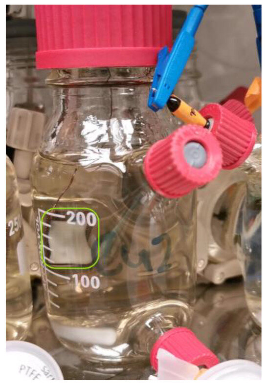 Microbial Electrosynthesis Using 3D Bioprinting of Sporomusa ovata on ...