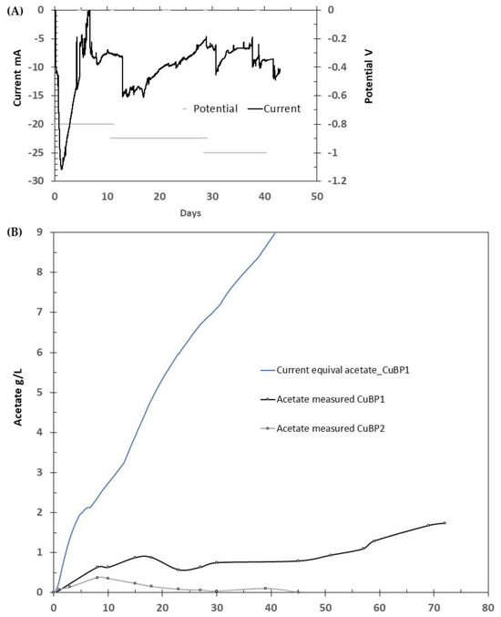 Microbial Electrosynthesis Using 3D Bioprinting of Sporomusa ovata on ...