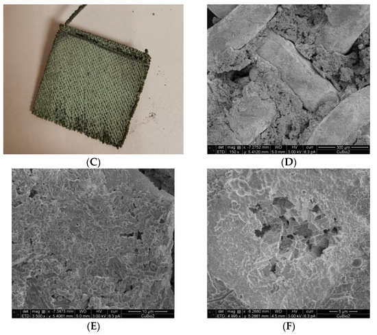 Microbial Electrosynthesis Using 3D Bioprinting of Sporomusa ovata on ...