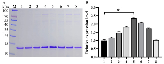 A Universal Strategy for the Efficient Expression of Nanobodies in ...