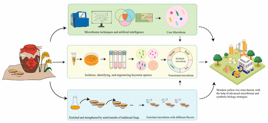 Advancements and Future Directions in Yellow Rice Wine Production Research