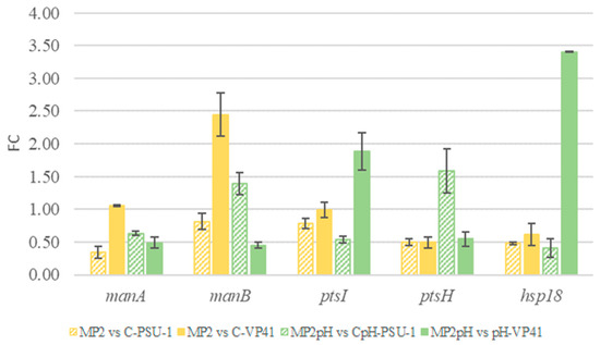 Evaluation of the Addition of Yeast Mannoprotein to Oenococcus oeni ...