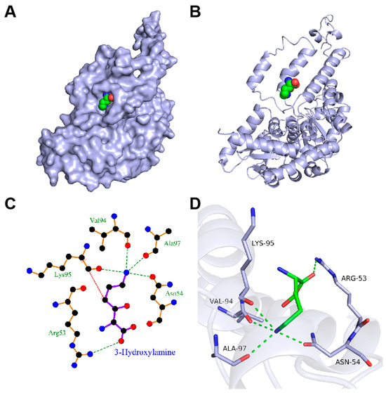 Engineering an Artificial Pathway to Improve the Bioconversion of ...