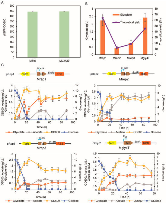 Fine-Tuning the Expression of the Glycolate Biosynthetic Pathway in ...