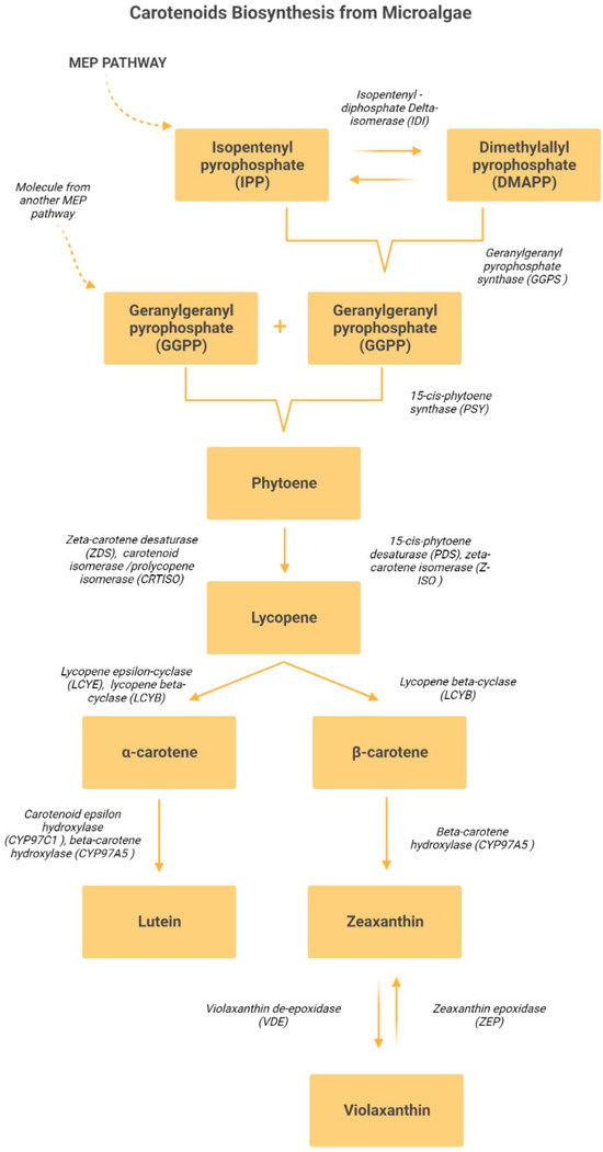 Fermentation | Free Full-Text | Lutein from Microalgae: An Industrial Perspective of Its ...