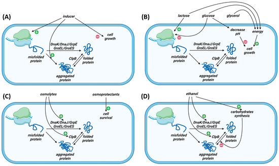 Fermentation | Free Full-Text | Additivities for Soluble Recombinant Protein Expression in ...
