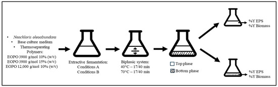 Fermentation | Free Full-Text | Application of Aqueous Two-Phase ...