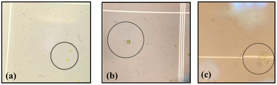 Application of Aqueous Two-Phase Systems with Thermoseparating Polymers ...