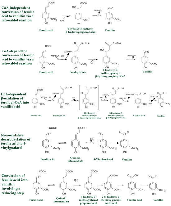 Role of Microbial Fermentation in the Bio-Production of Food Aroma ...