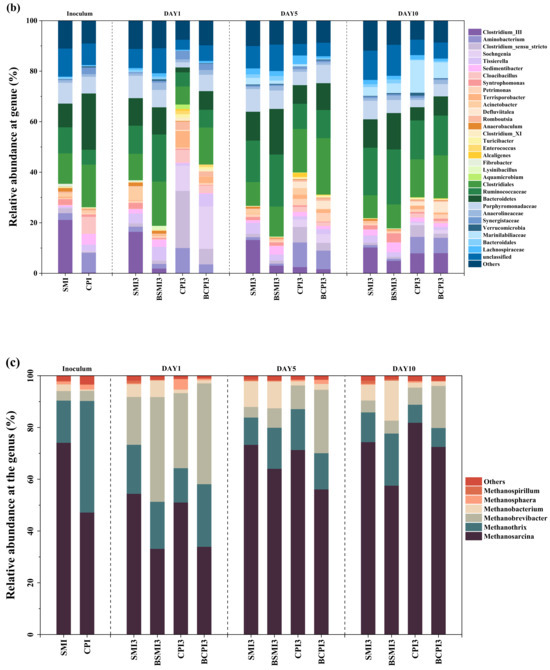 Effect of Biochar in Modulating Anaerobic Digestion Performance and ...