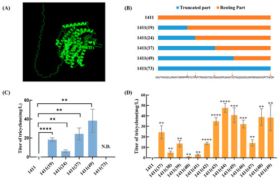The Biosynthesis of the Monoterpene Tricyclene in E. coli through the ...