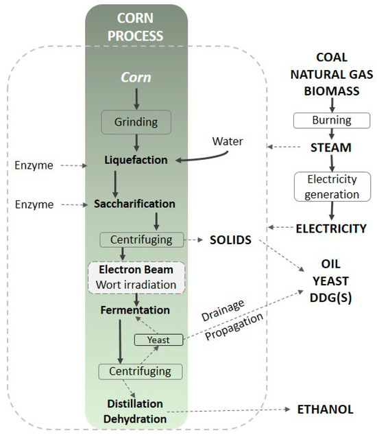 Electron Beam on Fermentation Medium as an Alternative Disinfection ...