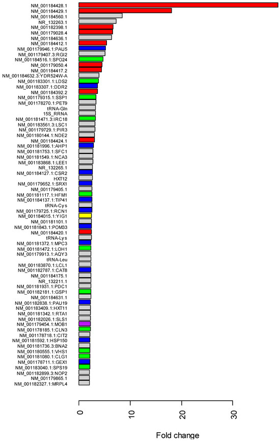 Transcriptome Analysis of Sake Yeast in Co-Culture with kuratsuki Kocuria
