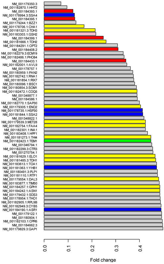Transcriptome Analysis of Sake Yeast in Co-Culture with kuratsuki Kocuria