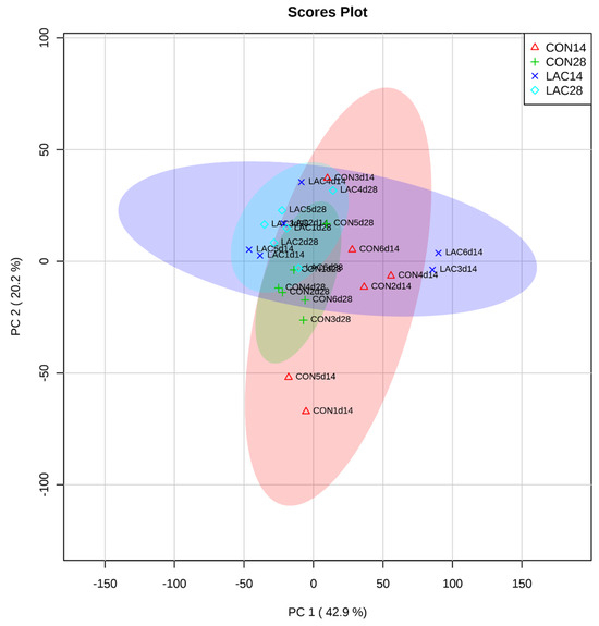 The Impact of Lactobacillus delbrueckii Hepatic Metabolism in Post ...