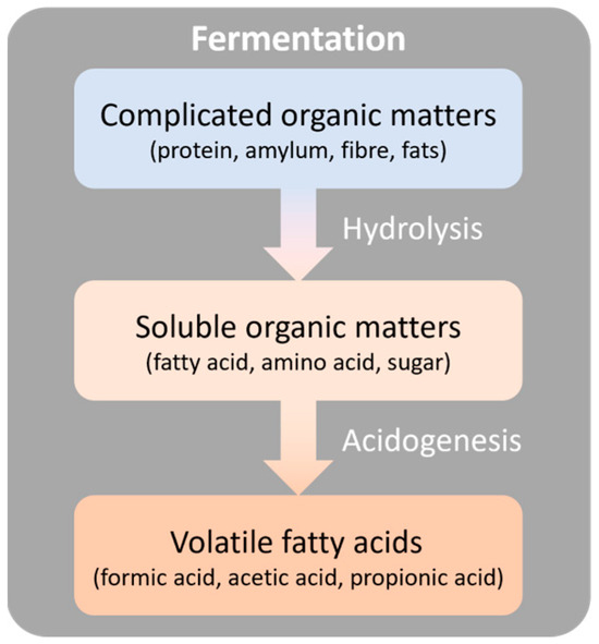 Fermentation | Free Full-Text | Harnessing the Potential of Sludge ...