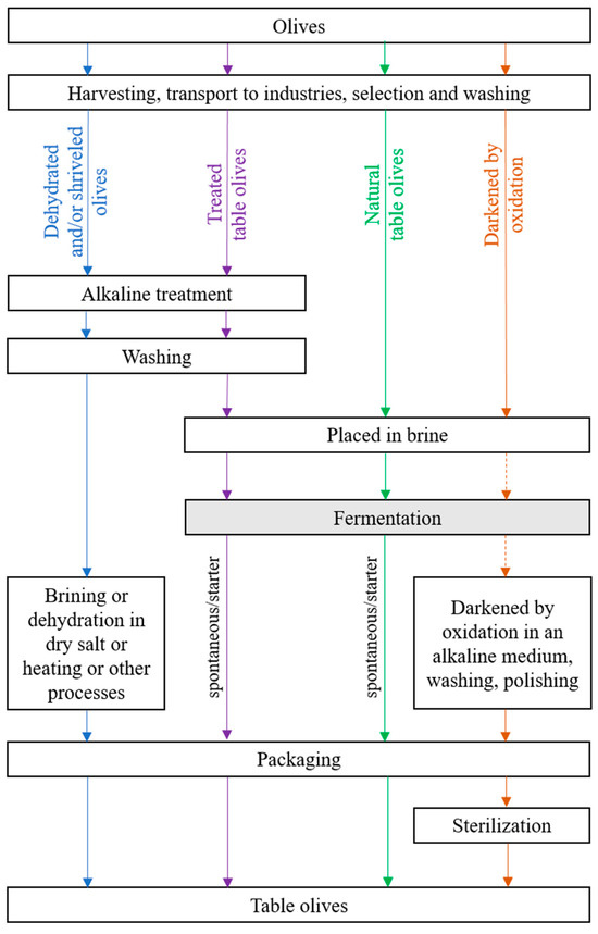 Starter Cultures for the Production of Fermented Table Olives: Current ...