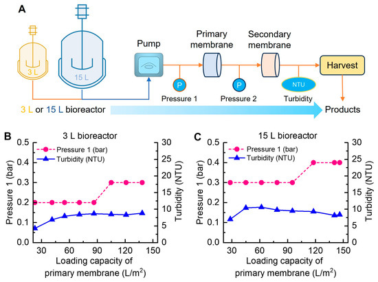 Optimization of the Process of Chinese Hamster Ovary (CHO) Cell Fed ...