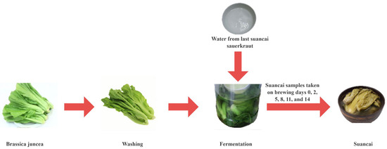 Analysis of Microbial Community Changes and Their Correlations with ...